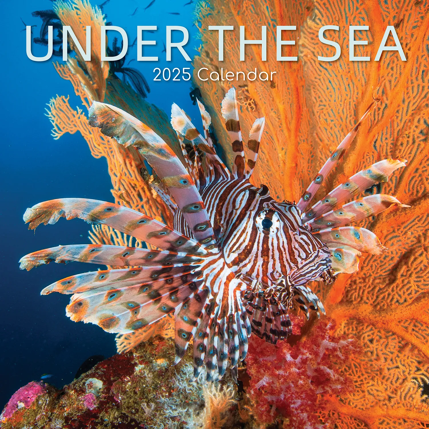 Under the Sea 2025 Square Wall Calendar 16 Months New Year Premium ...